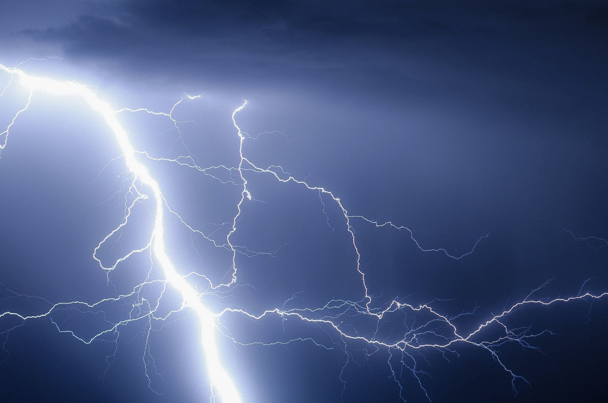 Volume II, Issue 2: Willpower