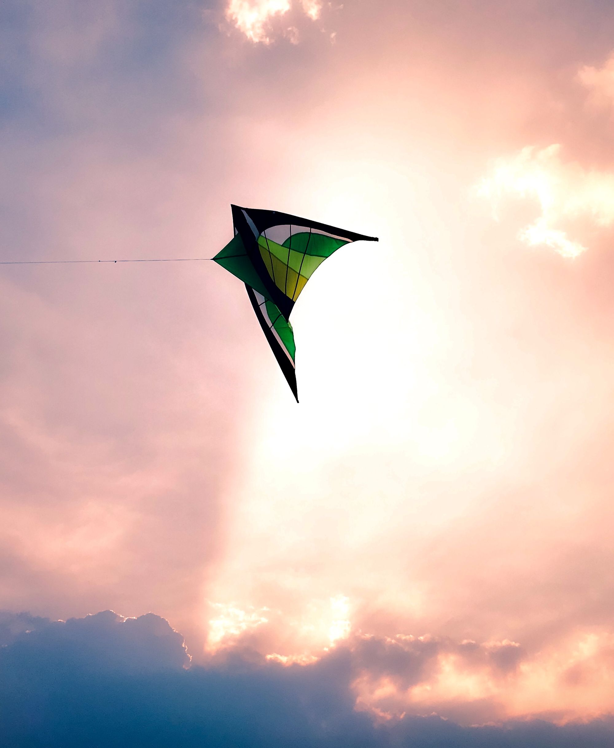 The Kite