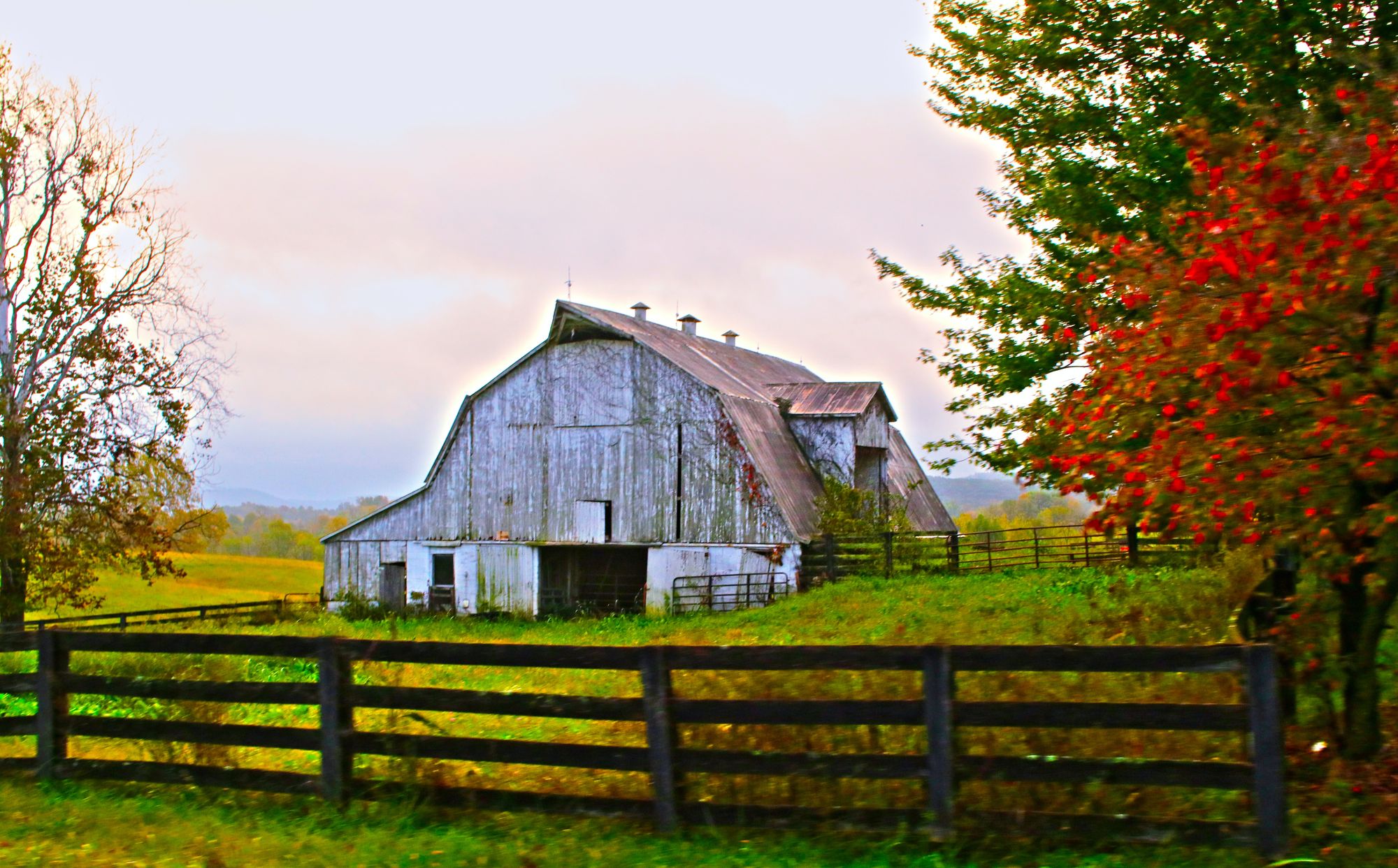Old Place