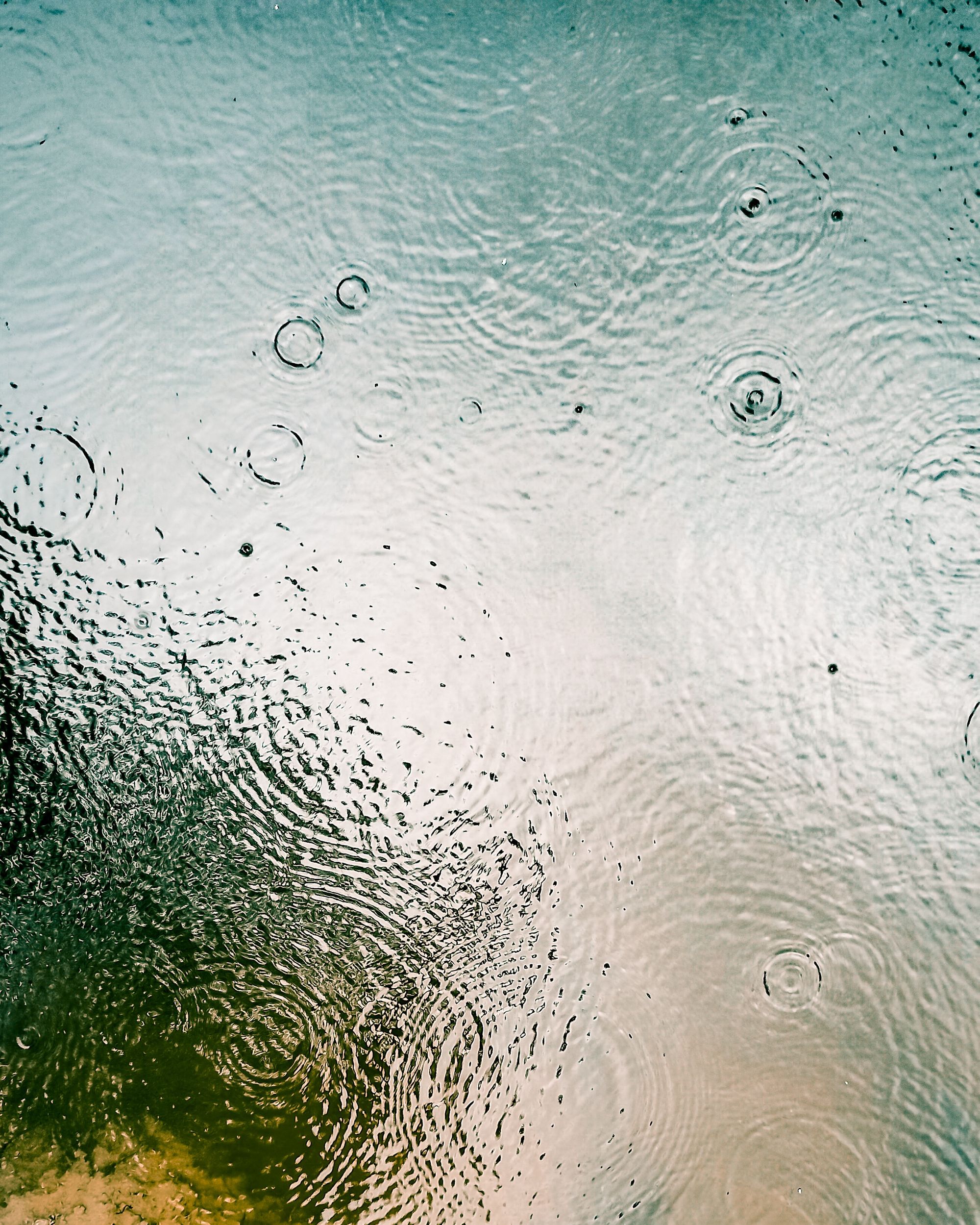 Volume V, Issue 1: Disturbance Preview